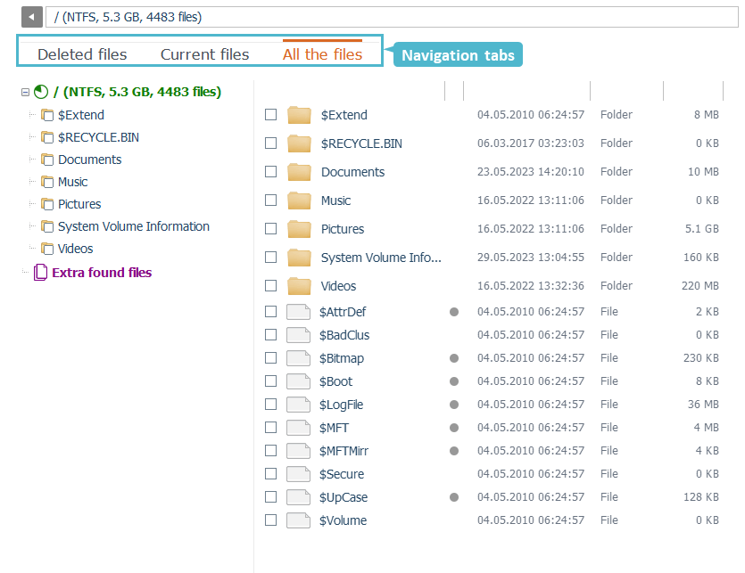 File browser overview – Raise Data Recovery user manual